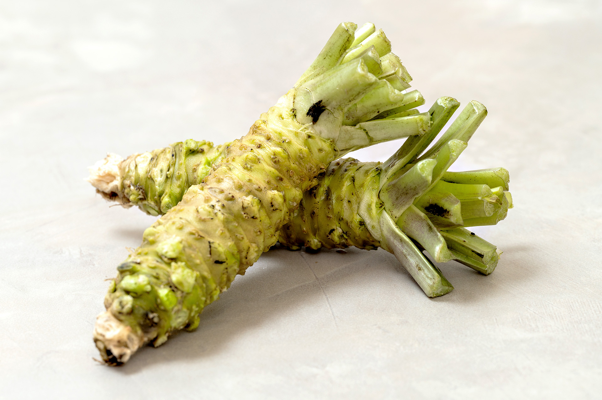 一級品はどう違う？新鮮なわさびの見分け方 | わさび生活